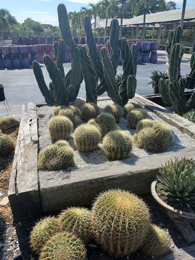 Lara Farms Nursery - Plant Nursery at 18660 SW 200th St, Miami, FL ...