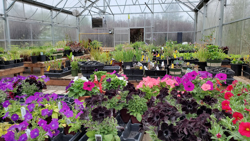Christianson's Nursery - Plant Nursery at 15806 Best Rd, Mount Vernon ...
