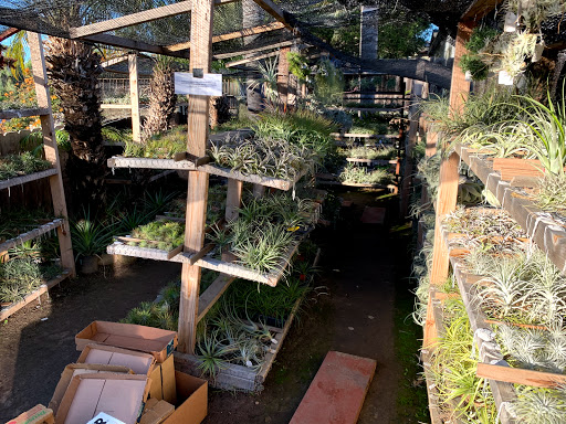 Devil Mountain Wholesale Nursery - Carmel Valley - Plant Nursery at ...