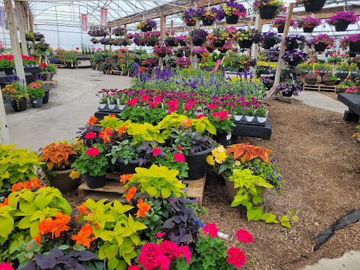 Great Lakes Landscape Supply - Plant Nursery at 15200 Cedar Springs Ave ...