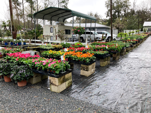 Bob Wines Camellia Gardens Inc