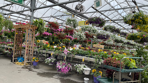 Bordine's of Brighton - Plant Nursery at 6347 Grand River Ave, Brighton ...