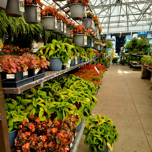 Lanoha Nurseries - Plant Nursery at 19111 W Center Rd, Omaha, NE, 68130 ...