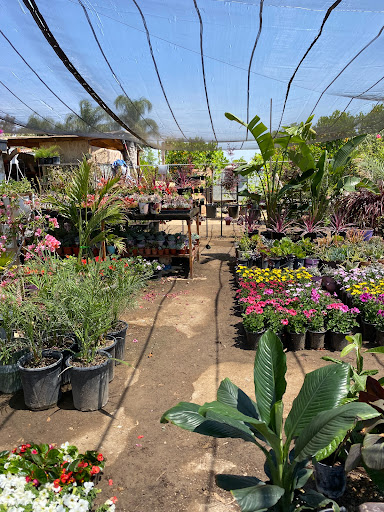 Moon Valley Nurseries - Plant Nursery at 1700 Growest Ave, Riverside ...