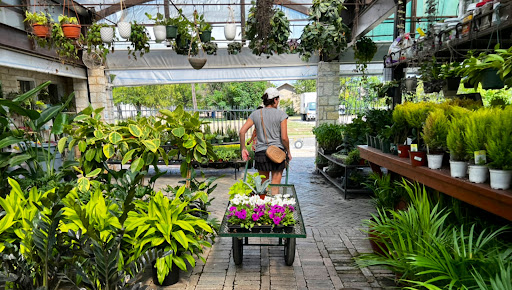 Ruibal's Plants of Texas - Plant Nursery at 601 S Pearl Expy, Dallas ...