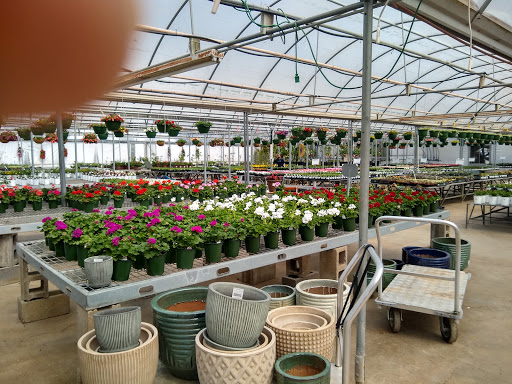 White River Nursery - Plant Nursery at 5635 E Huntsville Rd ...