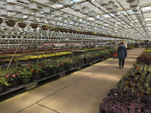 Gasko's Family Farm and Greenhouses - Plant Nursery at 112 Federal Rd ...