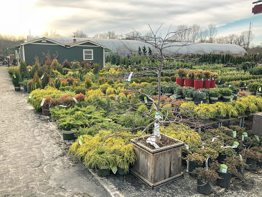 Bates Nursery and Garden Center - Plant Nursery at 3810 Whites Creek ...