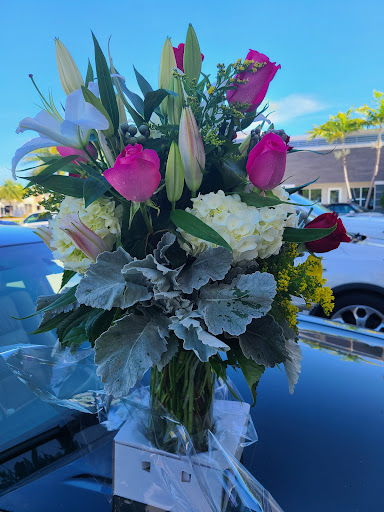 Popular plant nursery in Boca Raton, FL? Find 9 Elite Nurseries ...