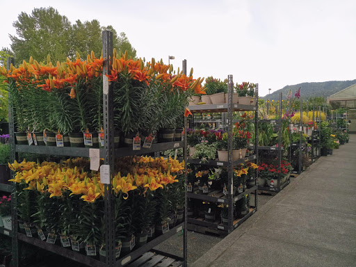 The Grange - Plant Nursery at 145 NE Gilman Blvd, Issaquah, WA, 98027 ...