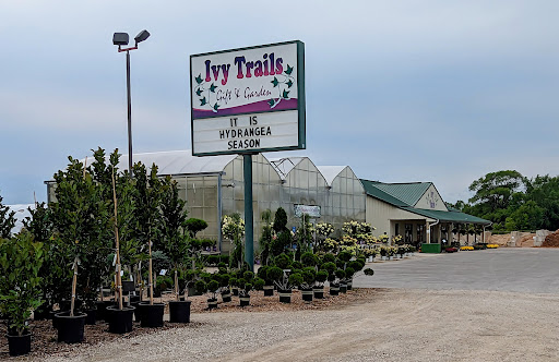 Ivy Trails Green Bay