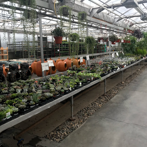 Bachman's Floral, Home & Garden - Plant Nursery at 6010 Lyndale Ave S ...