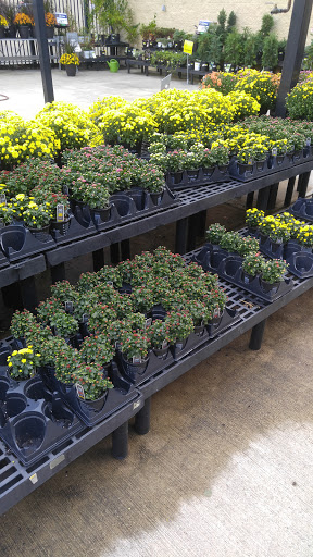 Briggs Nursery - Plant Nursery at 295 Kelley Blvd, North Attleborough ...