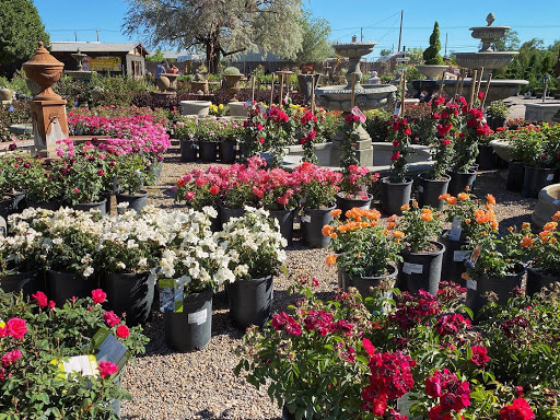 Jericho Nursery - Plant Nursery at 101 Alameda Blvd NW, Albuquerque, NM ...