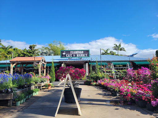 Flamingo Bamboo And Orchid Nursery