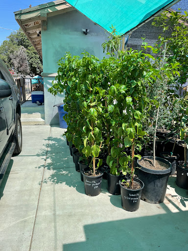 Parkview Nursery - Plant Nursery at 3841 Jackson St, Riverside, CA ...