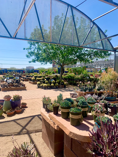 Mesquite Valley Growers Nursery - Plant Nursery at 8005 E Speedway Blvd ...