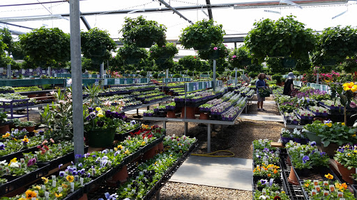 The Tree Farm Nursery & Garden Center - Plant Nursery at 11868 Mineral ...