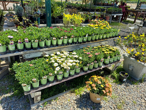 Popular nursery stores in Merced, CA? Find 8 Elite Nurseries. Updated ...