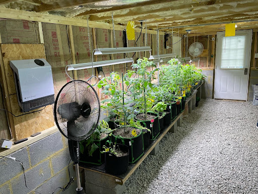 Nursery Mechanicsville Va