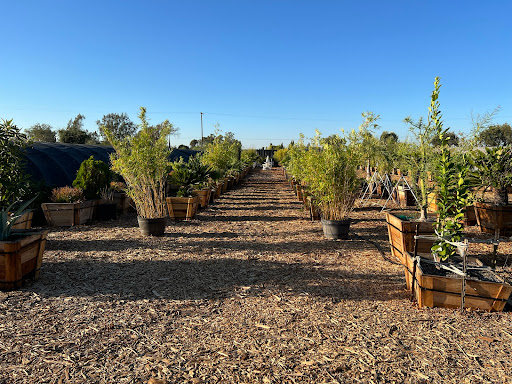 Roundtree Rock And Gardening Plant Nursery At 5300 Excelsior Rd