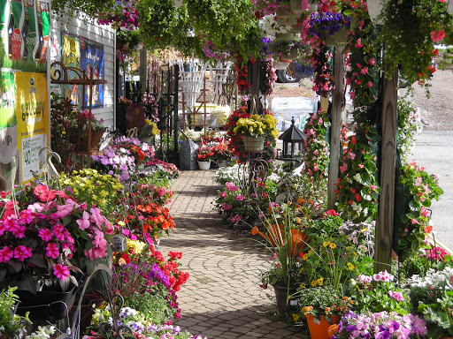 Maria S Garden North Royalton