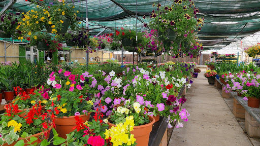 The Tree Farm Nursery & Garden Center - Plant Nursery at 11868 Mineral ...