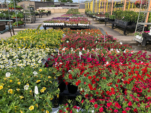 Knupper's Flower & Garden - Plant Nursery at 1811 N Rand Rd, Palatine ...