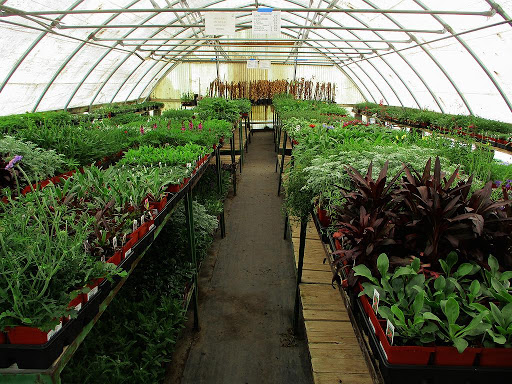 The Tree Farm Nursery & Garden Center - Plant Nursery at 11868 Mineral ...