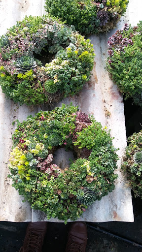 Cornell Farm - Plant Nursery at 8212 SW Barnes Rd, Portland, OR, 97225 ...