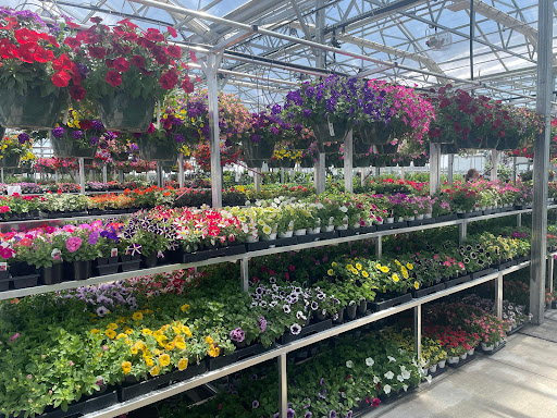 Bentley Ridge Tree Farm - Plant Nursery at 4400 W 1st St, Grimes, IA ...