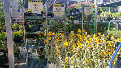 Greenhouse Garden Center - Plant Nursery at 2450 S Curry St, Carson ...