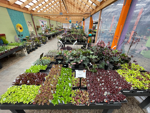Edwards Greenhouse & Flowershop - Plant Nursery at 4106 Sand Creek St ...