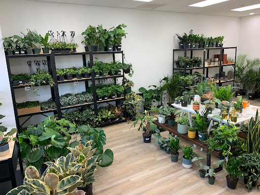 Popular plant nursery in Boca Raton, FL? Find 9 Elite Nurseries ...