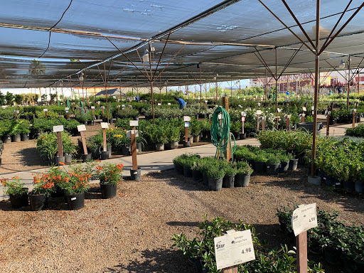 Star Nursery Garden and Rock Centers - Plant Nursery at 5340 Boulder ...