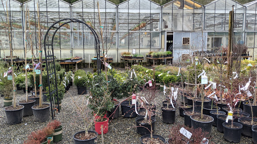 The Grange - Plant Nursery at 145 NE Gilman Blvd, Issaquah, WA, 98027 ...
