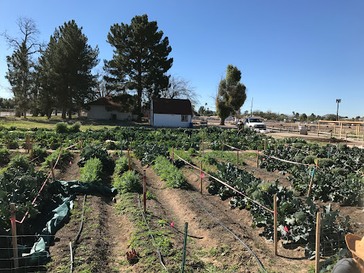 Mesquite Valley Growers Nursery - Plant Nursery at 8005 E Speedway Blvd ...
