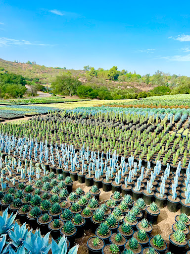 Parkview Nursery - Plant Nursery at 3841 Jackson St, Riverside, CA ...