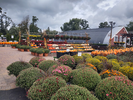 Gasko's Family Farm and Greenhouses - Plant Nursery at 112 Federal Rd ...