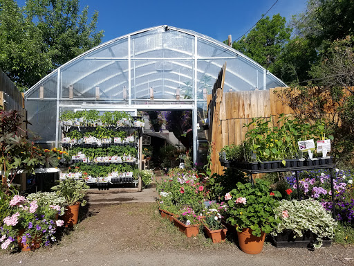 The Tree Farm Nursery & Garden Center - Plant Nursery at 11868 Mineral ...
