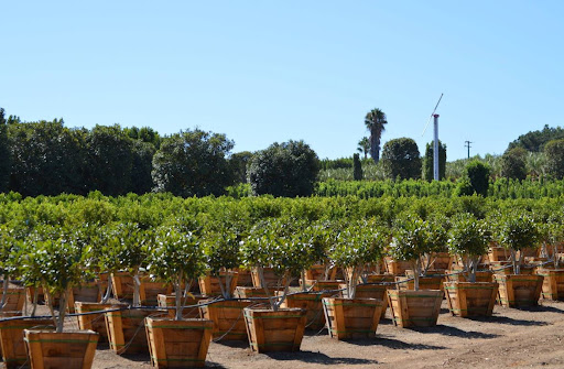 Parkview Nursery - Plant Nursery at 3841 Jackson St, Riverside, CA ...