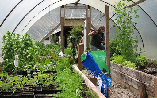 Flower World - Plant Nursery at 9322 196th St SE, Snohomish, WA, 98296 ...
