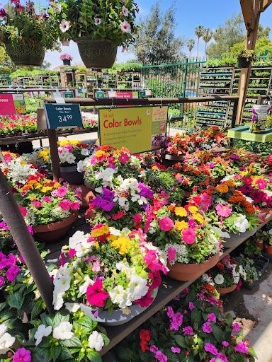 Armstrong Nursery Thousand Oaks
