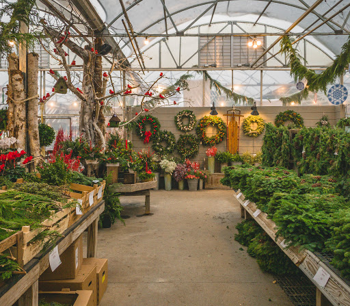American Plant - Plant Nursery at 7405 River Rd, Bethesda, MD, 20817 ...