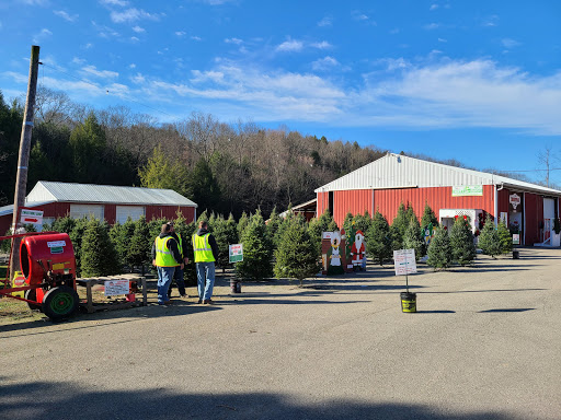 Musser Forests, Inc. - Plant Nursery at 1880 Rte 119 Hwy N, Indiana, PA ...
