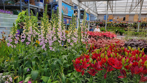 The Tree Farm Nursery & Garden Center - Plant Nursery at 11868 Mineral ...