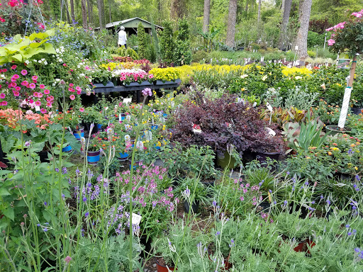 Cooper's Nursery - Plant Nursery at 8244 Parklane Rd, Columbia, SC ...