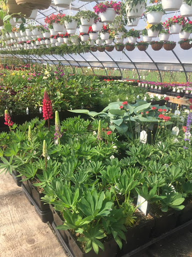 Musser Forests, Inc. - Plant Nursery at 1880 Rte 119 Hwy N, Indiana, PA ...