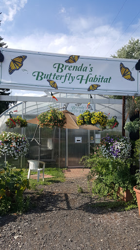 Barson Greenhouse - Plant Nursery at 6414 Merriman Rd, Westland, MI ...