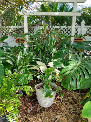 Lara Farms Nursery - Plant Nursery at 18660 SW 200th St, Miami, FL ...